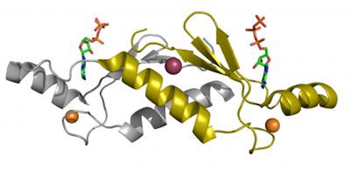 Protein Biology Takes a Giant Leap Into the Future | Cell And Molecular ...