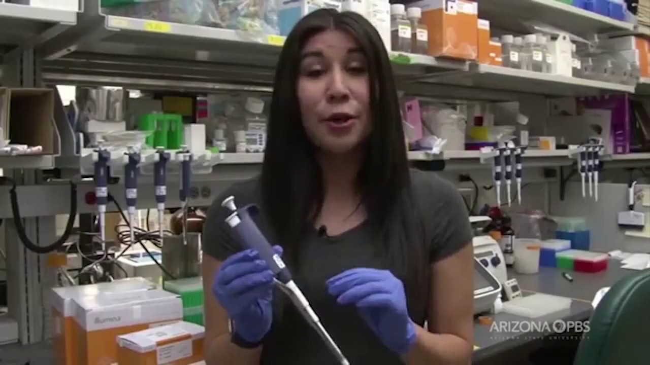 Starting Research Early | Videos
