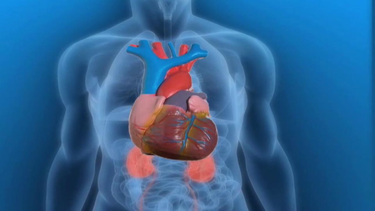 Why People with Chronic Inflammatory Diseases Are Prone to Heart ...