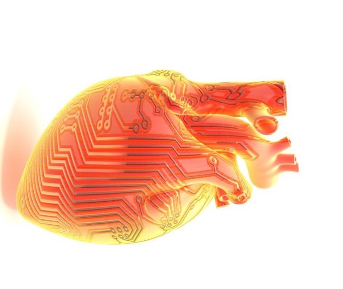 Patch It Up: The Future of Engineered Heart Tissue | Cardiology