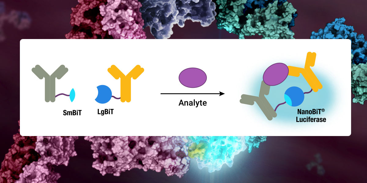Understanding Inflammation: A Faster, Easier Way to Detect Cytokines in ...