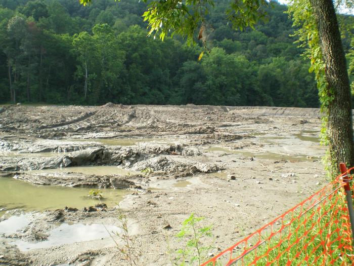 Coal Ash Toxicity Begins at Nanoscale Levels | Chemistry And Physics