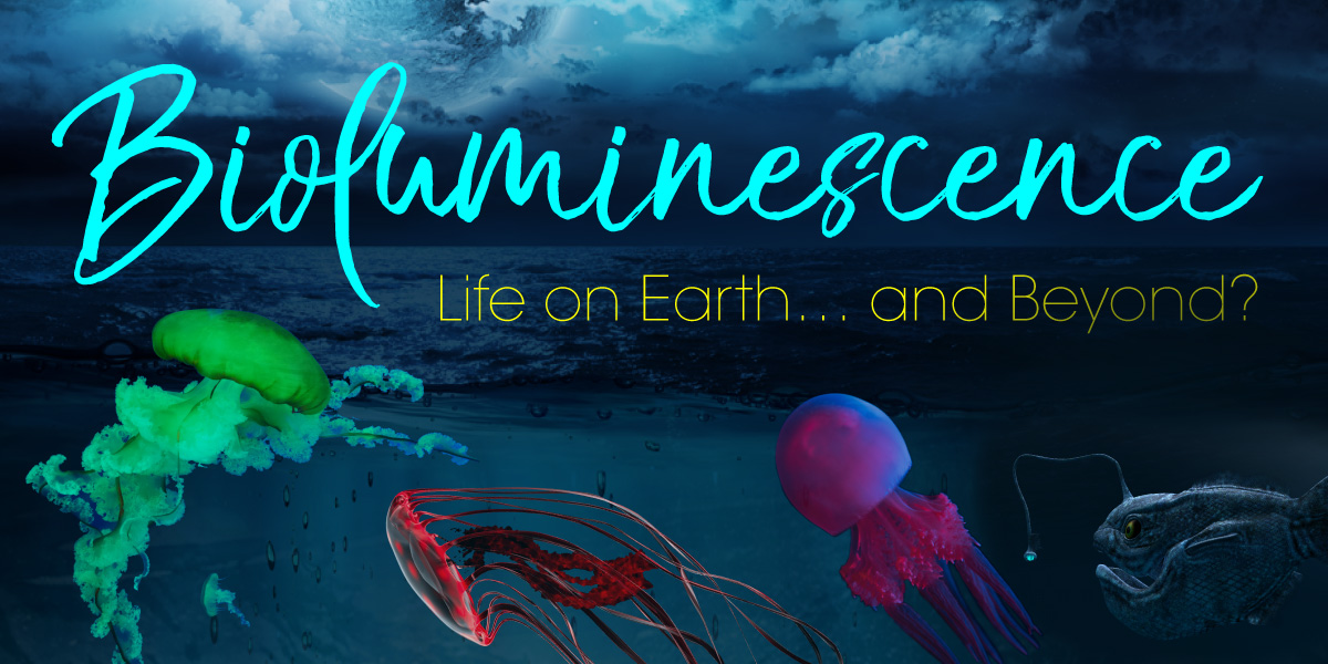 Bioluminescence Life on Earth...and Beyond? | Infographics