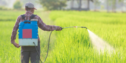 Russian ice cap melting at 82 feet per day