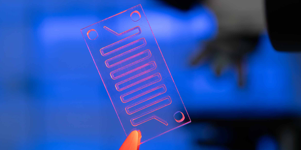 Scaling Down to Go Big: An Overview of the Lab-on-a-Chip | Clinical And ...
