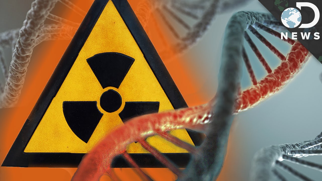 How Does Radiation Damage DNA? | Videos