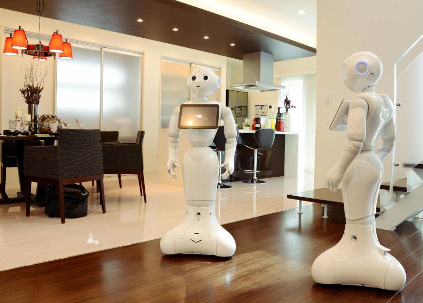 The Future House Robot? | Technology