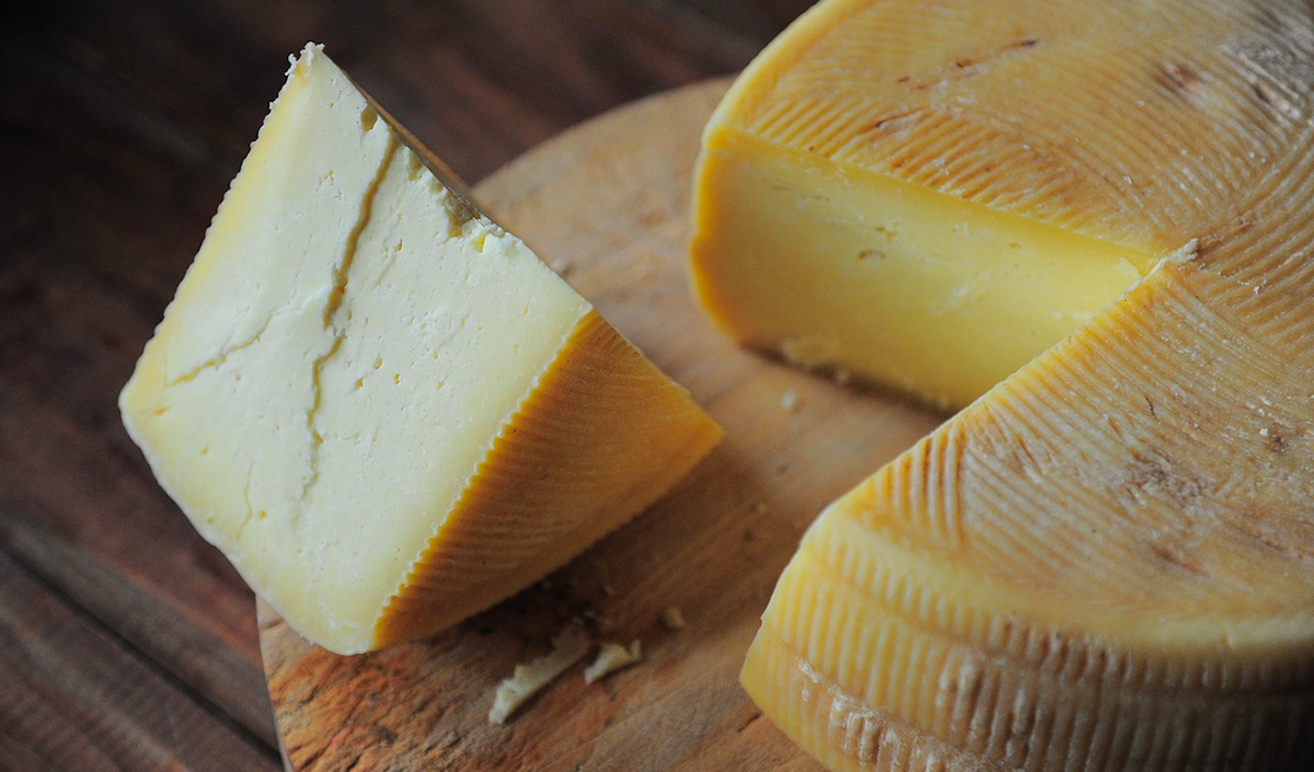 Good Bacteria Can Protect Us From the Nasty Stuff in Cheese | Microbiology