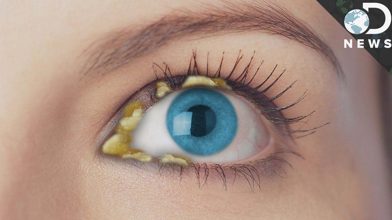 The Gross Science Behind Eye Bogies | Videos