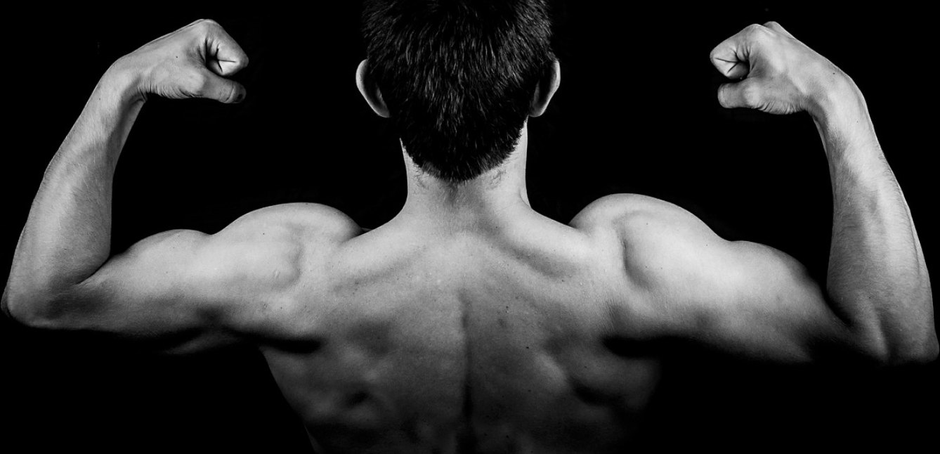 A Protein That Can Promote Growth & Prevent Atrophy in Muscle | Cell ...