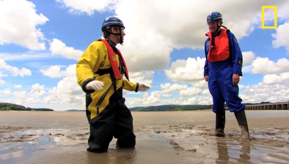 The trick to surviving quicksand | Videos