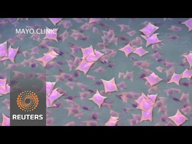 High hopes for space grown stem cells | Videos