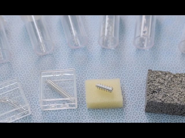 Scientists Develop Dissolving Metal Implants | Videos