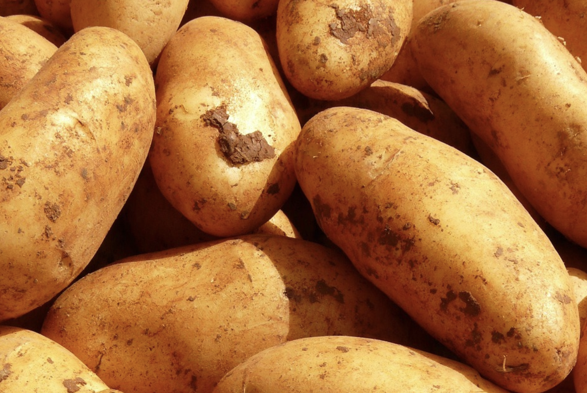 Indigenous Andeans Had a Genetic Advantage to Eating Potatoes ...