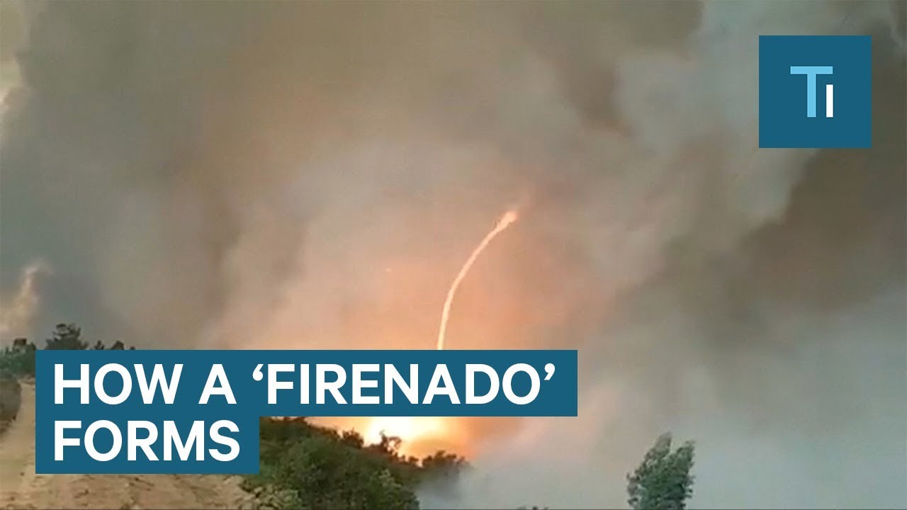 Here's Everything You Need to Know About 'Firenados' | Videos