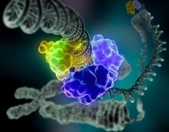 ‘Junk' RNA has a Functional Role in Cell Stress Response | Cell And ...