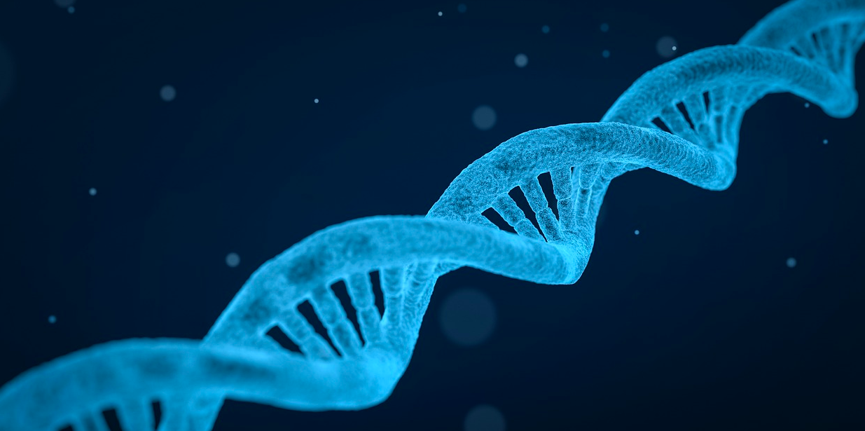 200 Years After the Birth of the Father of Genetics | Genetics And Genomics