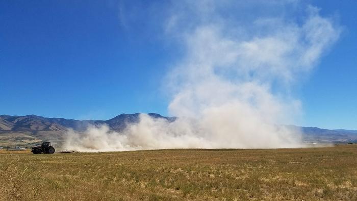 Algae Growth Linked to Atmospheric Dust: Insights from Pioneering ...