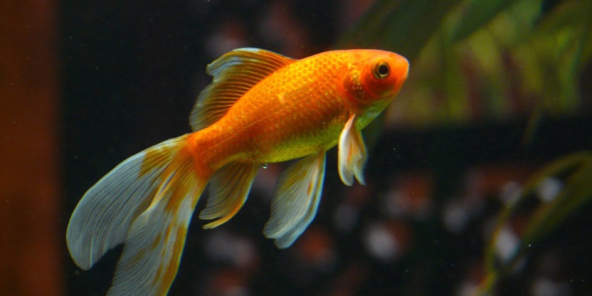 How Rocket Launches Impact the Environment | Space