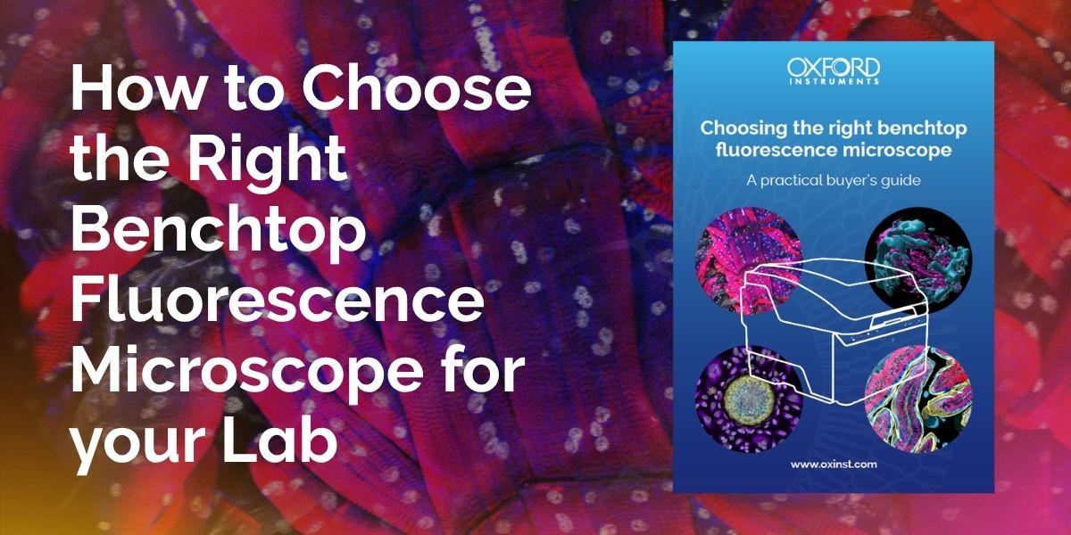 How to Choose the Right Benchtop Fluorescence Microscope for your Lab ...