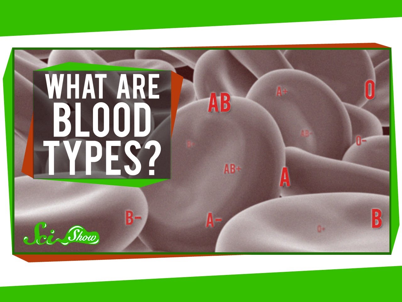 Why Are There Different Blood Types? | Videos