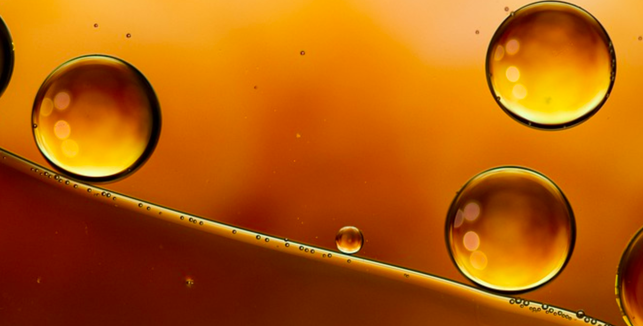 Intermittent Fasting Triggers Liver Cell Growth in Mice | Cell And ...