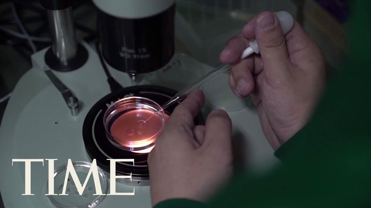 Researcher Claims to Have Genetically Engineered Human Babies ...