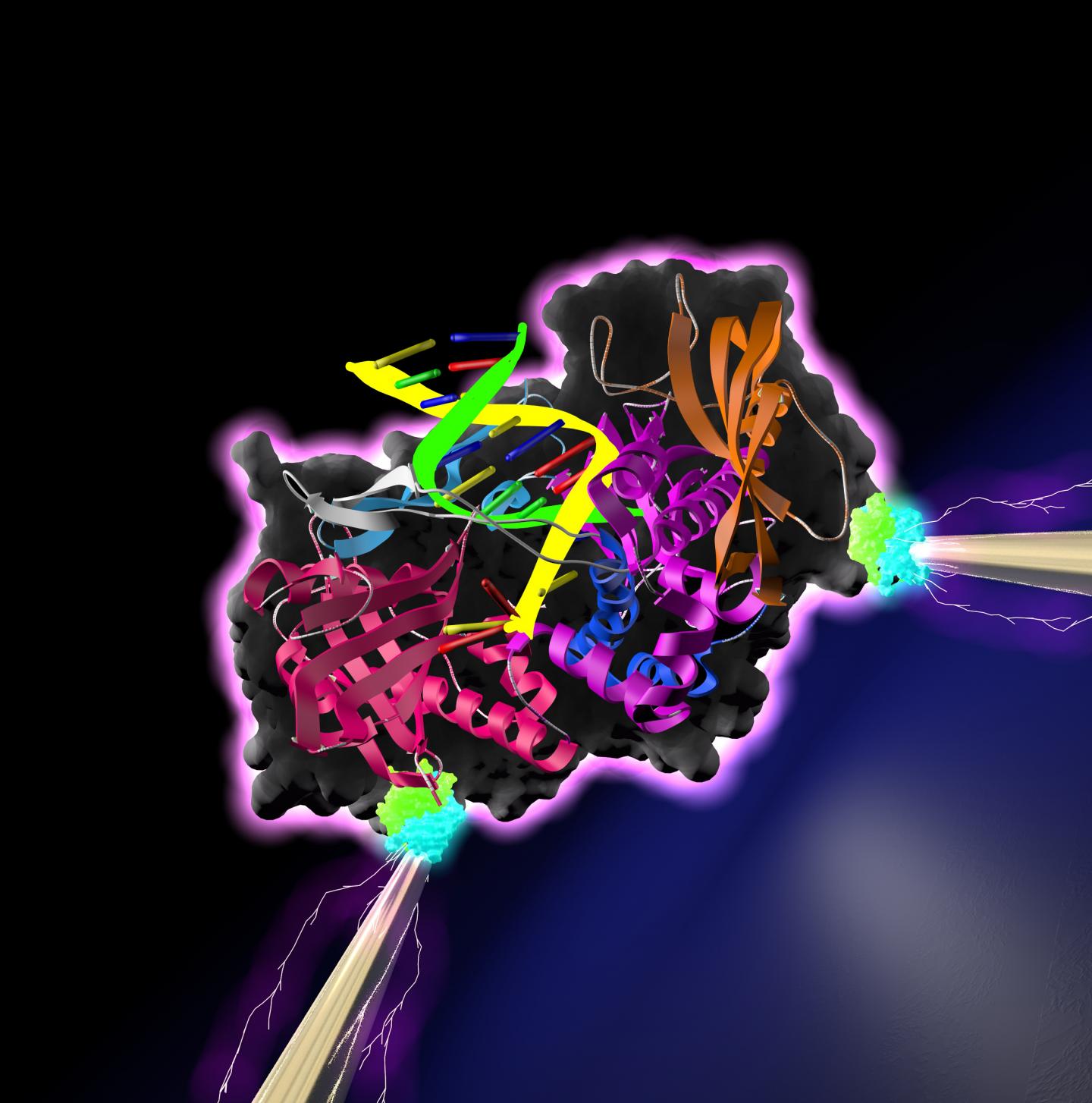Researchers Explore the Electricity-Conducting Power of Proteins | Cell ...