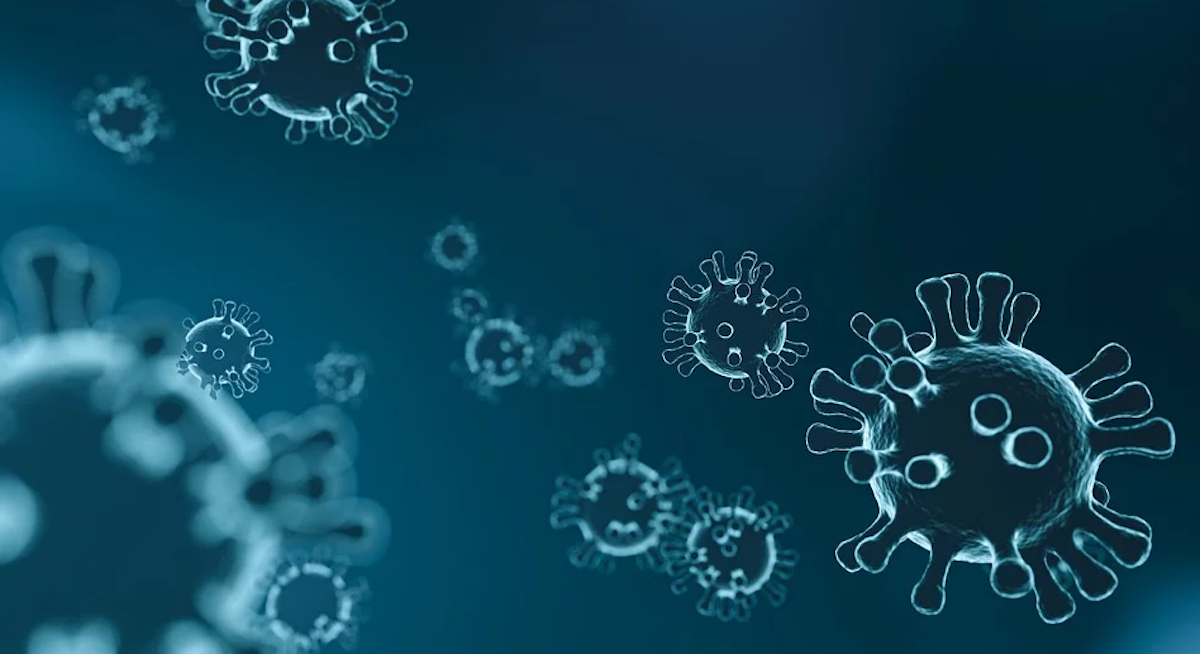 CDC Director Expects Coronavirus to Find a "Foothold" | Microbiology