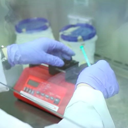 Using Patient Cells Grown on a Chip for Drug Screens | Videos