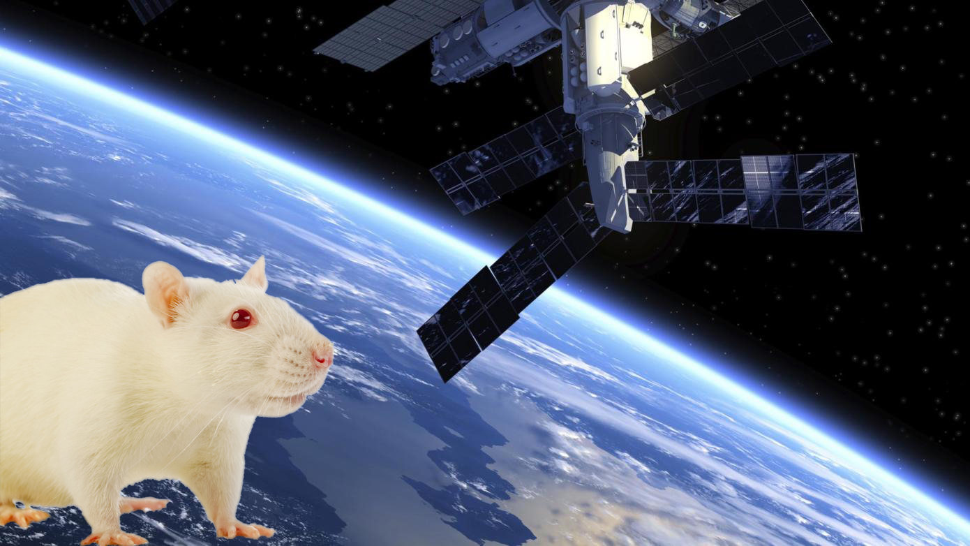 Could Space Visits Cause Skin Atrophy for Astron | Space