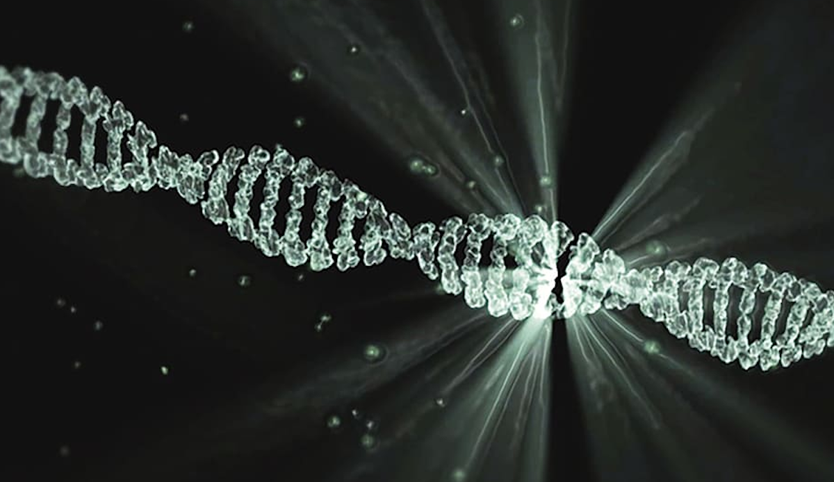 Physical Forces Can Change How Genes Are Expressed | Genetics And Genomics