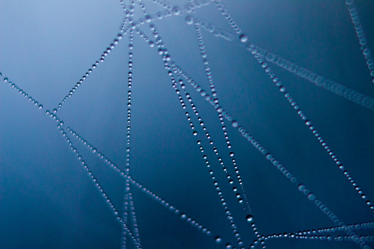 Trapped! An Immune Cell Tag Team Takes Down Bacteria. | Immunology