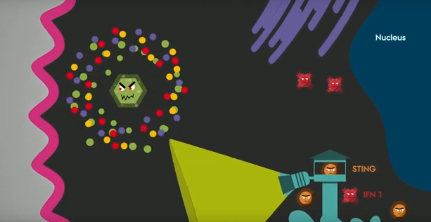 Researchers Detect a Vulnerability in Viruses | Cell And Molecular Biology