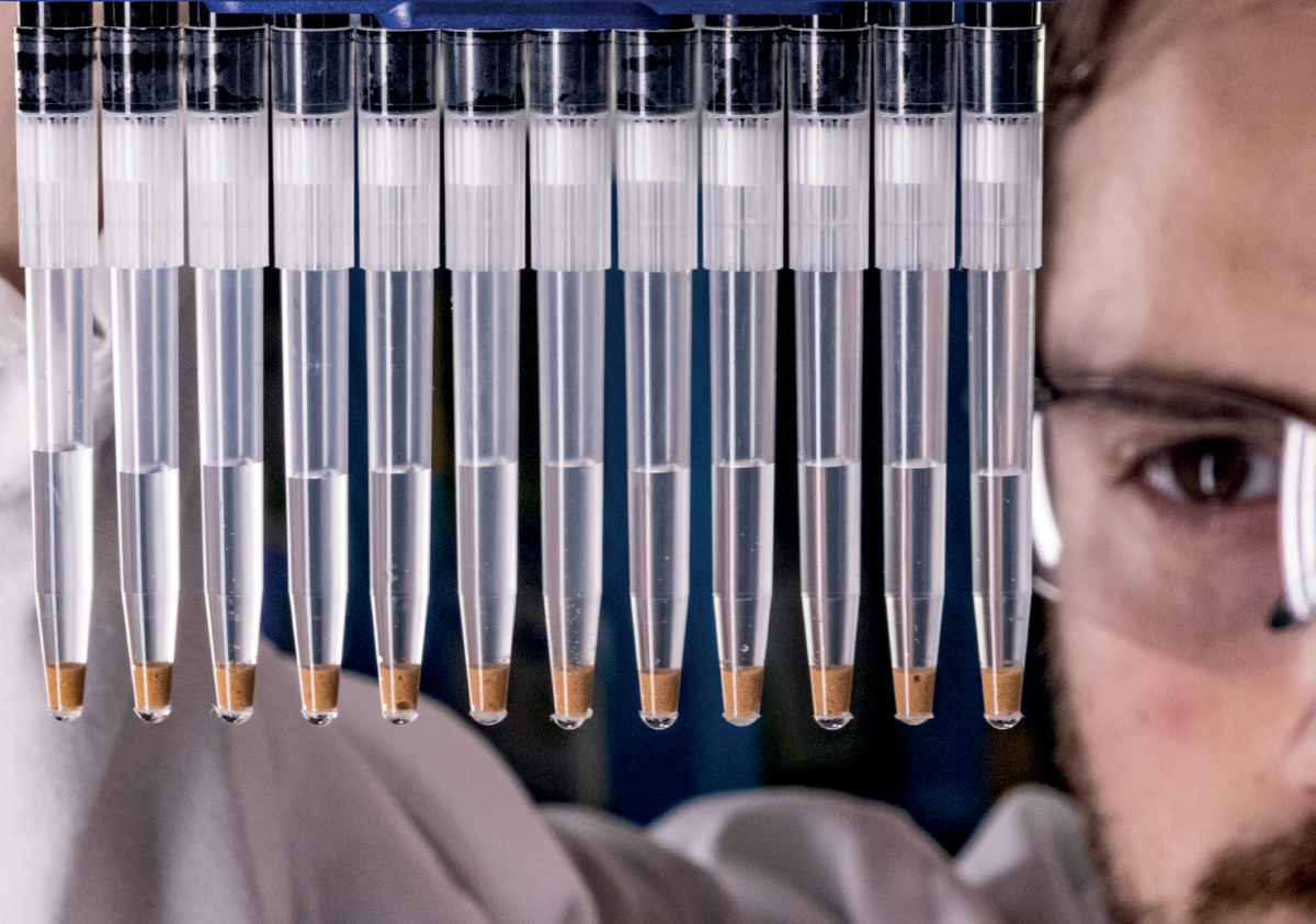 Beyond the bead: rethinking small-scale protein purification | Cell And ...