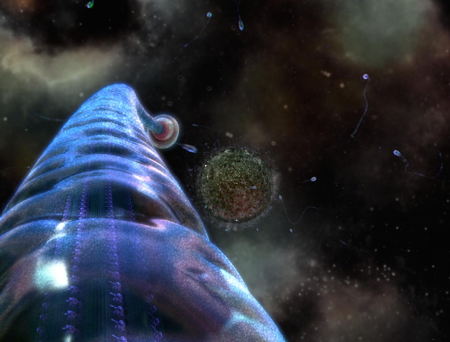 Star Wars-inspired Biological Animation Leads to Mechanistic Insight ...