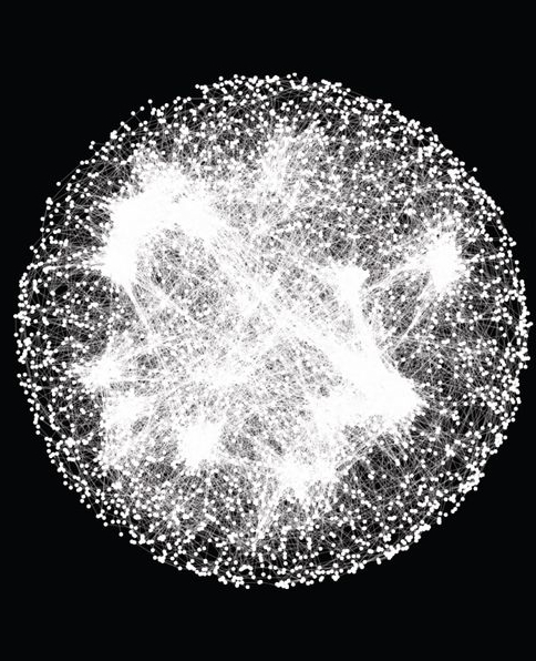 Genetic Interaction Network Diagrams Cellular Function | Cell And ...
