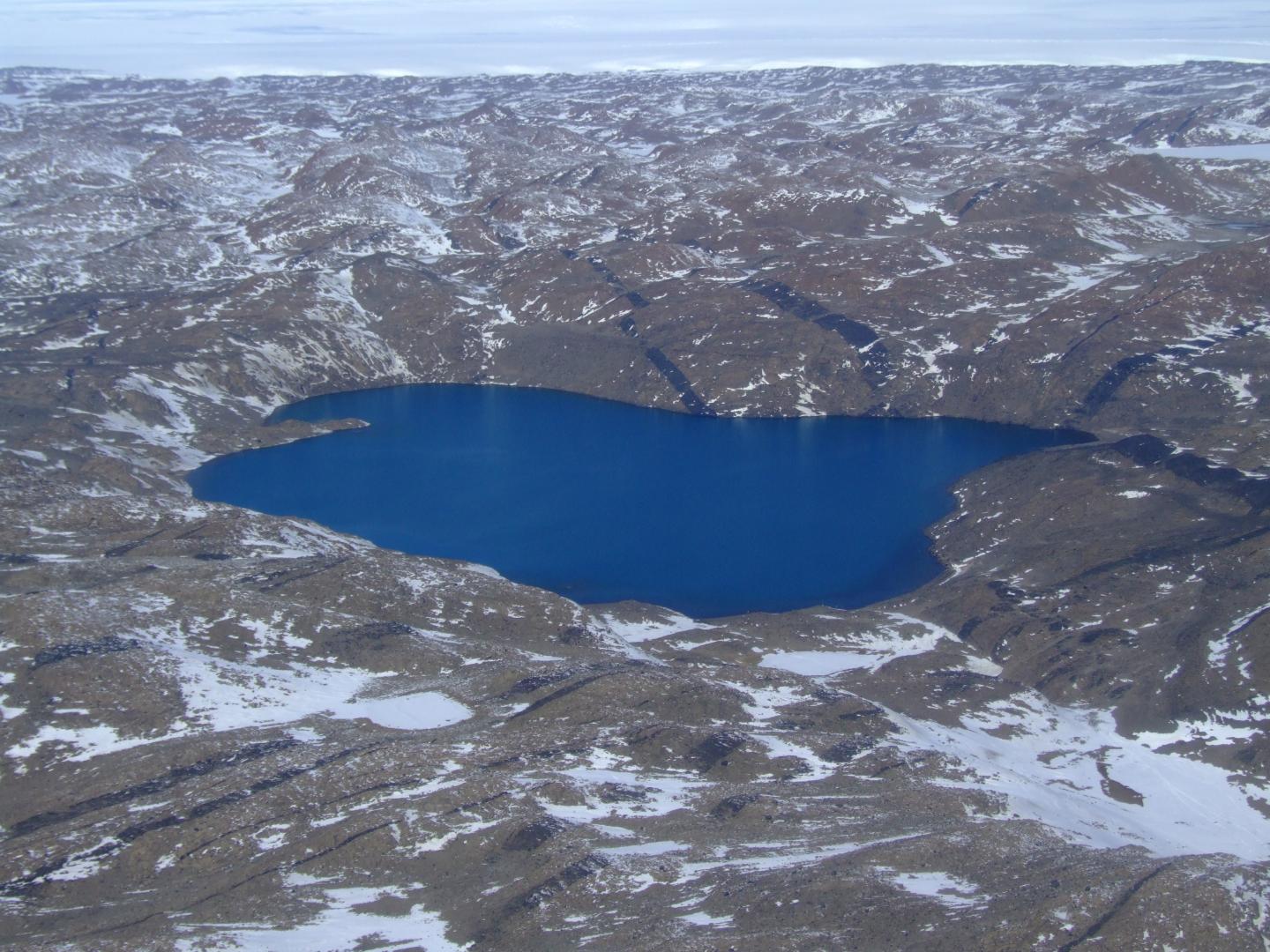 Antarctic Microbes Reveal a new Kind of Plasmid | Microbiology