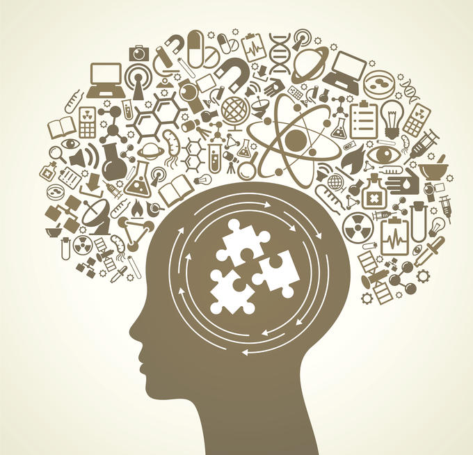 Neural Activity Determines Learning Rate | Neuroscience