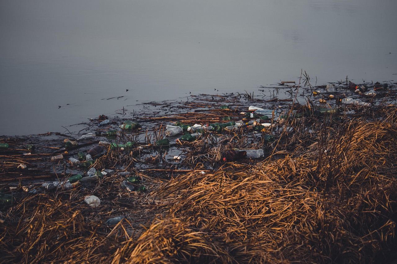Plastic Pollution as a 'Conveyor Belt' for Toxic Chemicals | Earth And ...