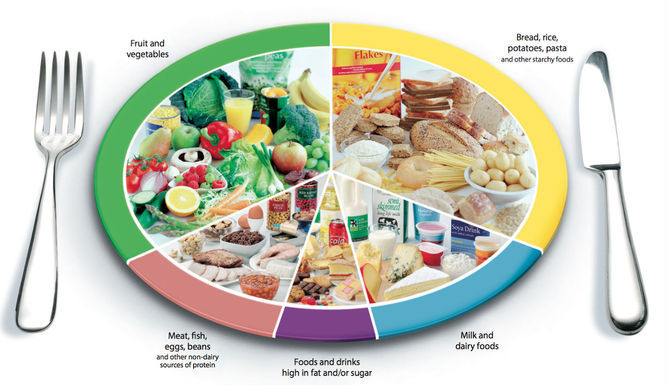 The UK's Eatwell Plate: Very Much in Need of a M | Health And Medicine