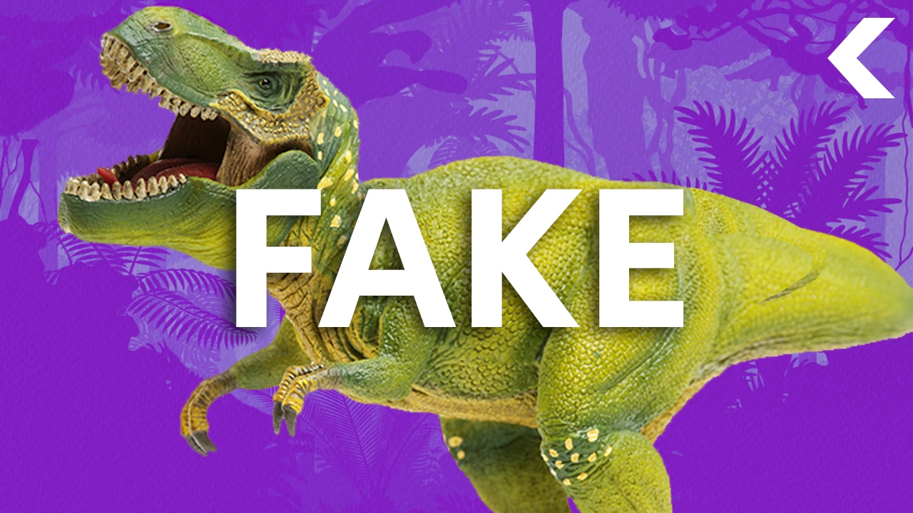 Do We Really Know What Color the Dinosaurs Were? | Videos