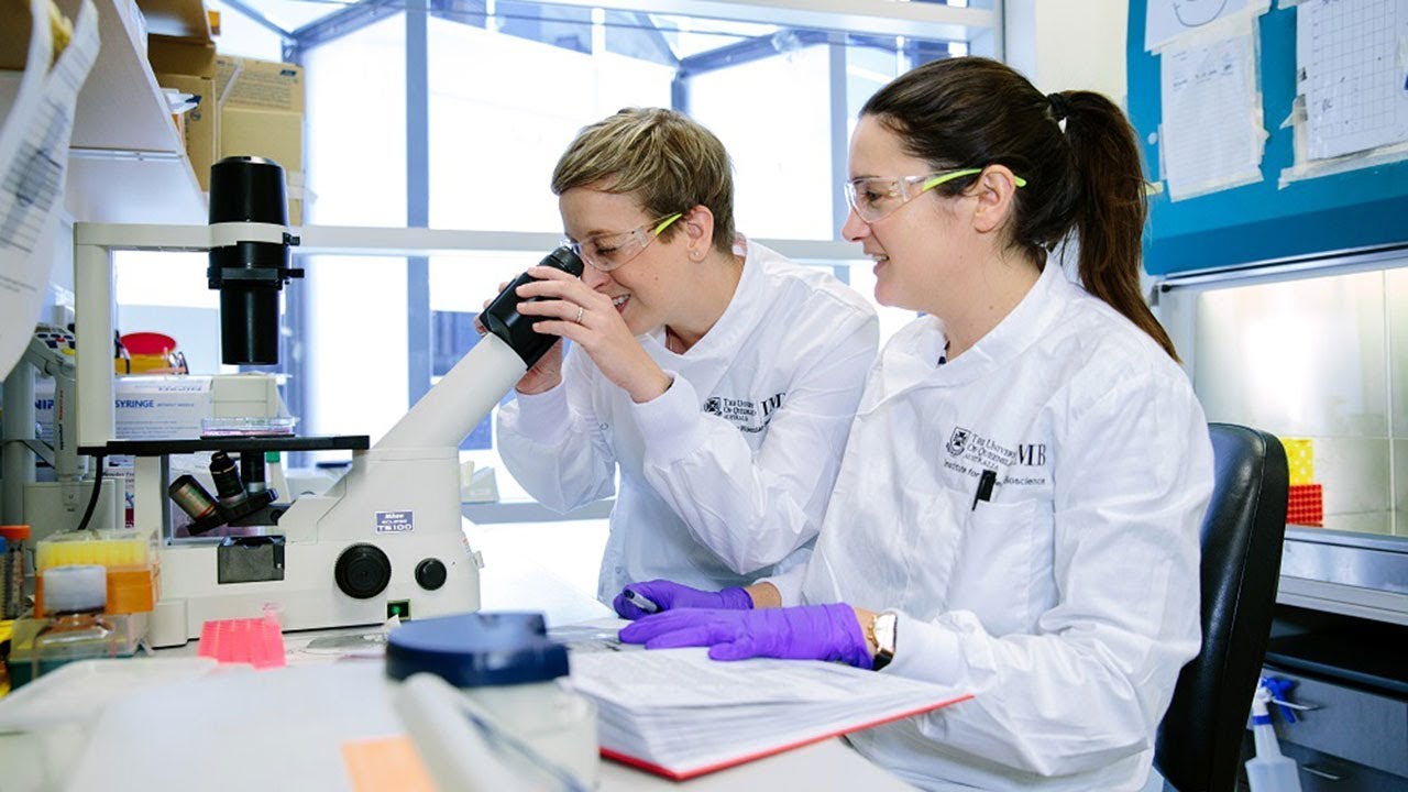 Progress on a Potential Drug for Inflammatory Disease | Cell And ...