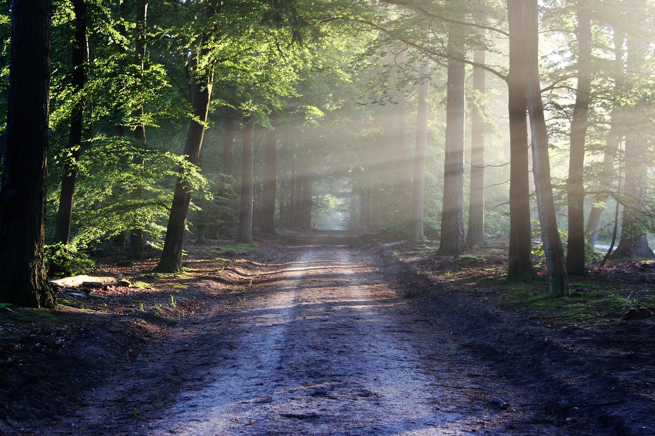 Young People Find Solitude and Self-Expression in Nature | Earth And ...