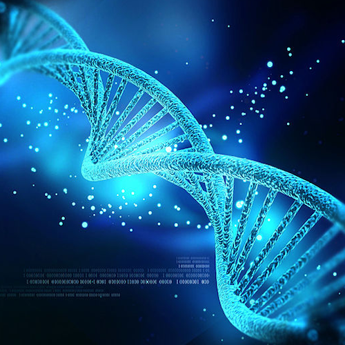 Amazing Images Reveal a Fundamental Process of Life | Genetics And Genomics