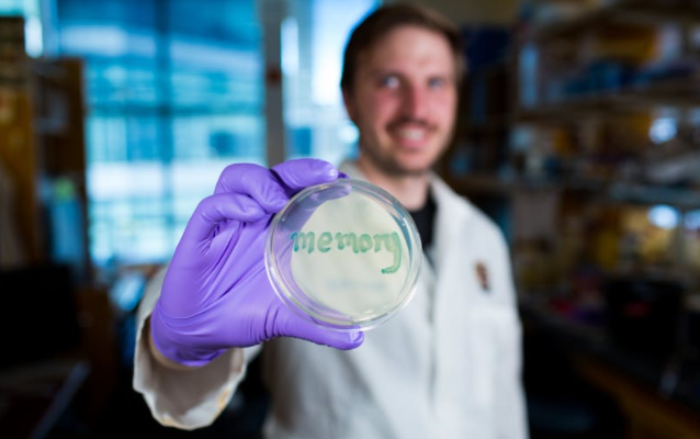 Engineering Microbes for Potential use in Diagnostics | Microbiology