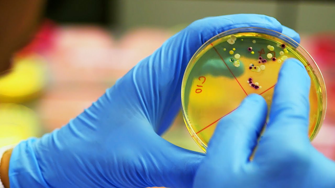 Real-Life Experiment Shows People Have Disgusting Hands | Videos