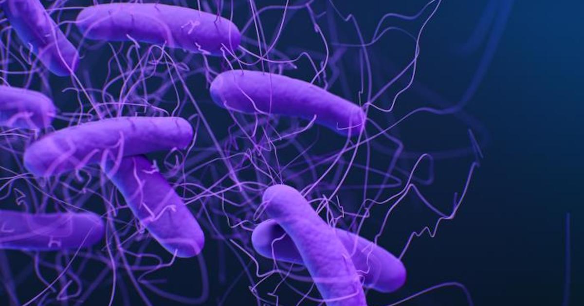 The Unique Microbiomes of Long-Lived People | Microbiology