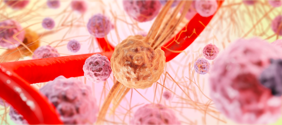 Germ Cells Burrow Like Bulldozers | Cell And Molecular Biology