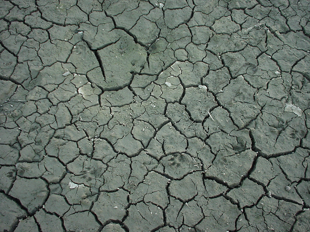 Magic Mud - The Next Antibiotic? | Microbiology